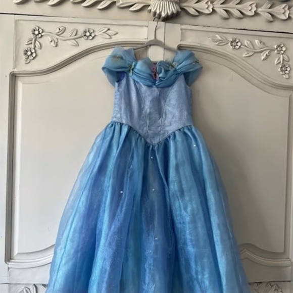 Disney Chasing fireflies | Dresses | Disney Chasing Fireflies Cinderella Dress Costume | Poshmark